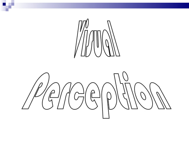 Visual perception 1 | PPT
