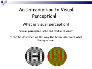 Visual perception 1 | PPT