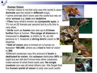 Visual perception 1 | PPT