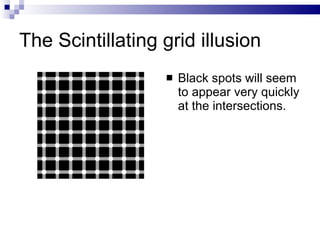 Visual perception 1 | PPT