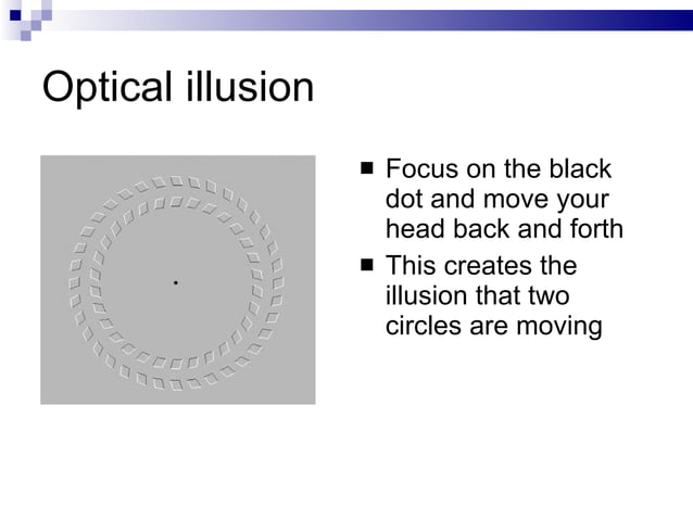 Visual perception 1 | PPT