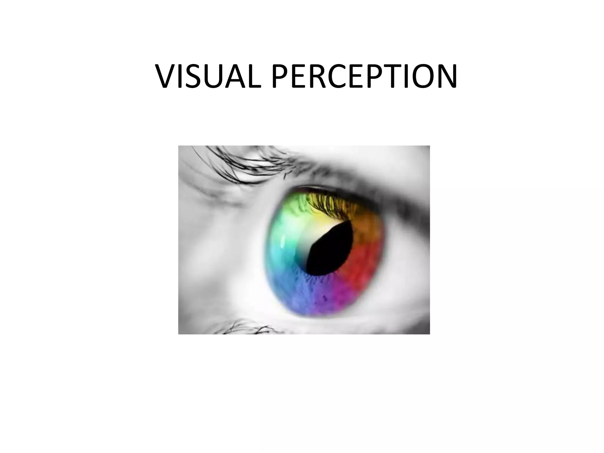 Visual perception | PPTX