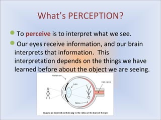Visualperception | PPT