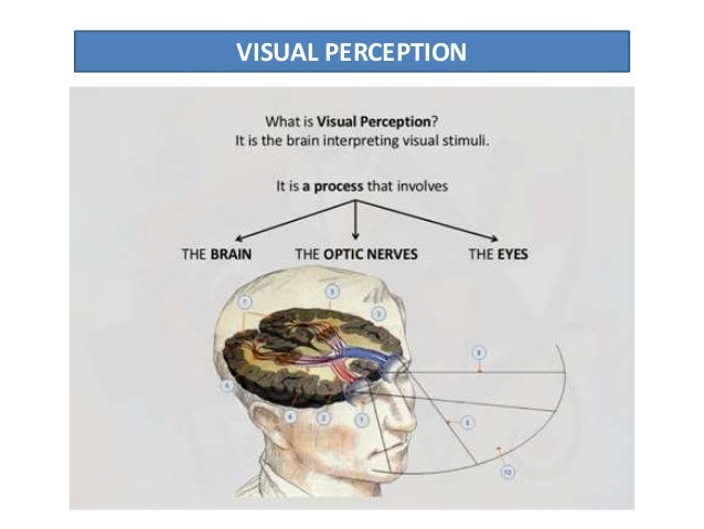 Visual Perception Visual Perception