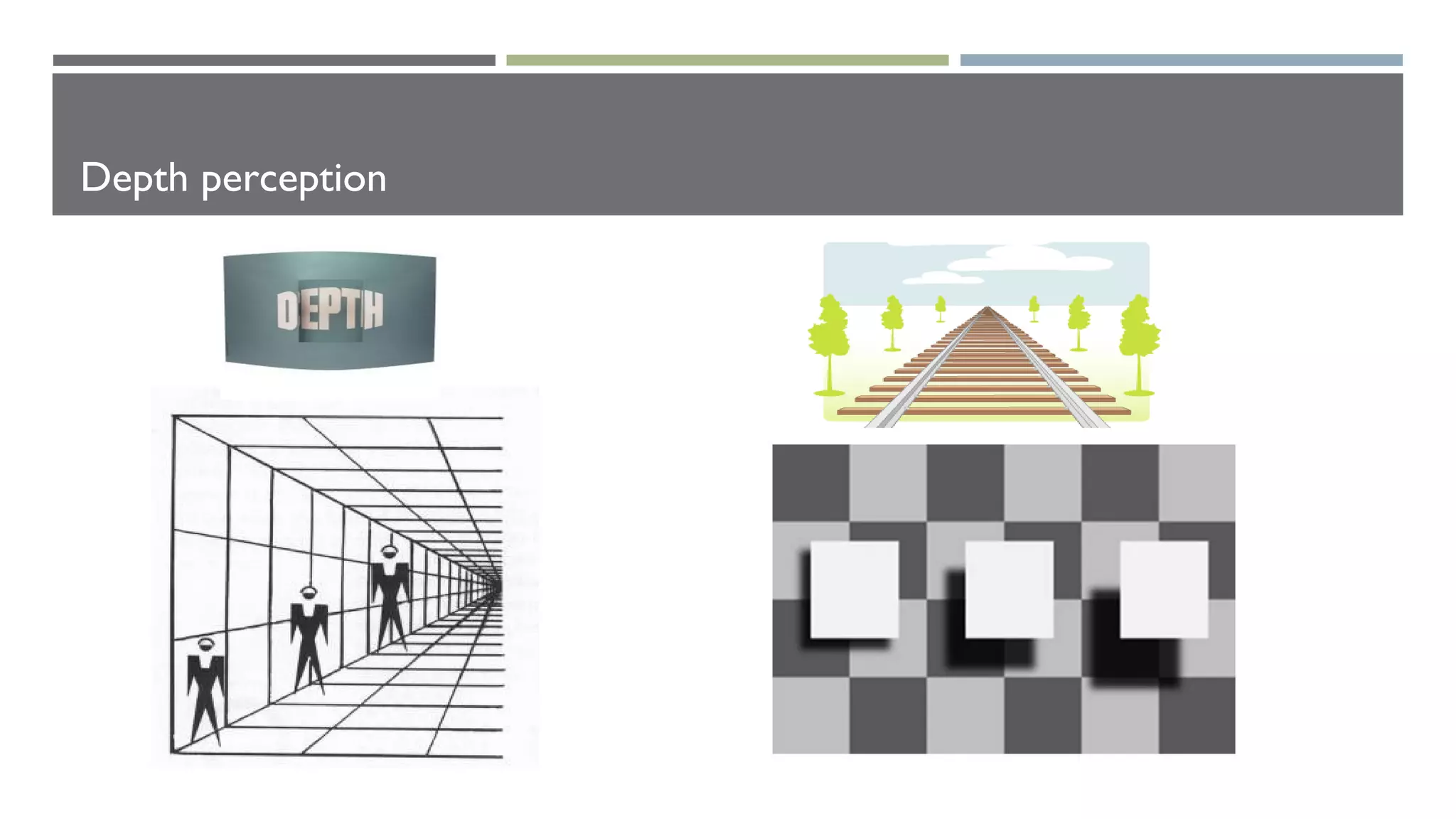 Visual perception | PPT