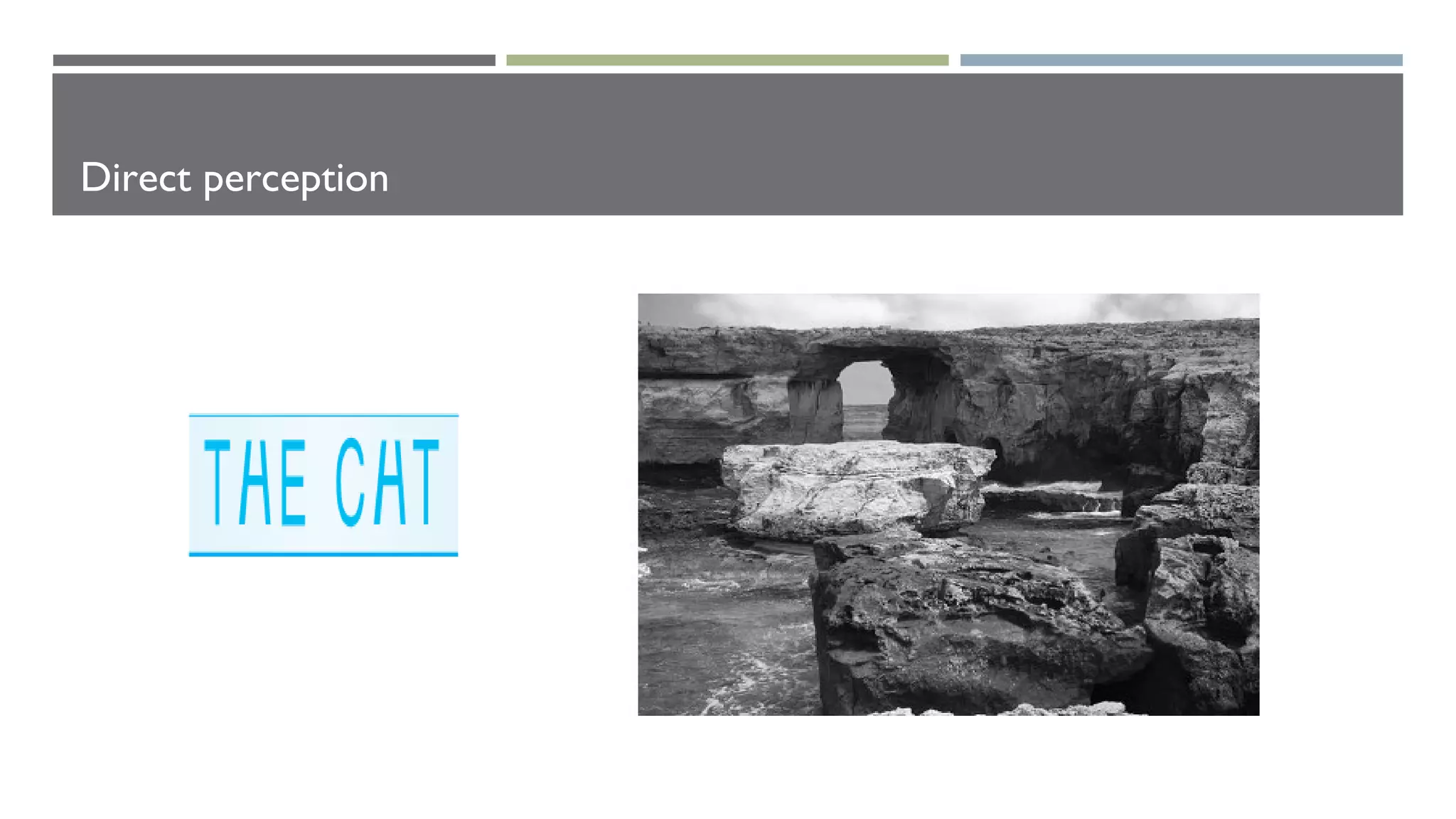 Visual perception | PPT