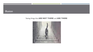 Visual perception | PPT