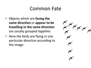 Visual perception concepts | PPTX