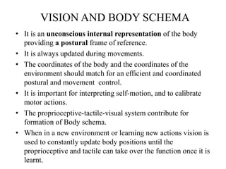 Visual perception from the point of view of Sensory Integration | PPTX