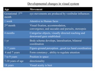 Visual perception from the point of view of Sensory Integration | PPT