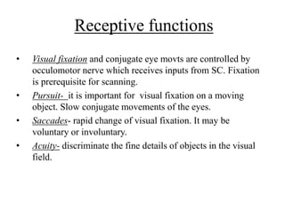 Visual perception from the point of view of Sensory Integration | PPT