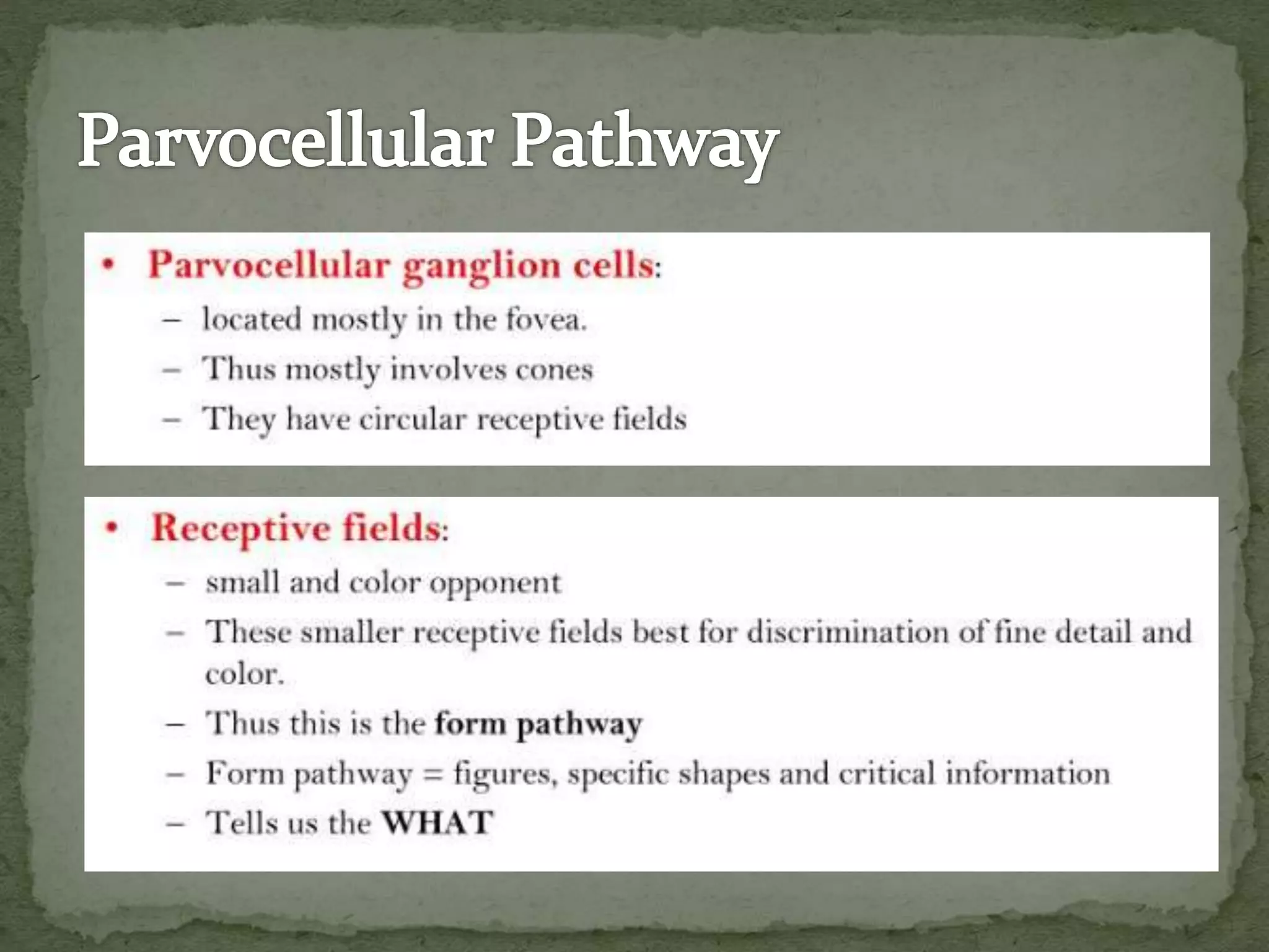 VISUAL PERCEPTION.pptx