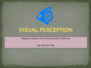 VISUAL PERCEPTION.pptx