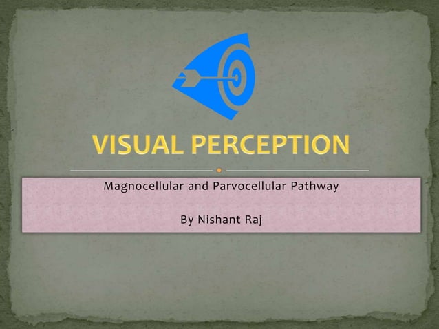 VISUAL PERCEPTION.pptx