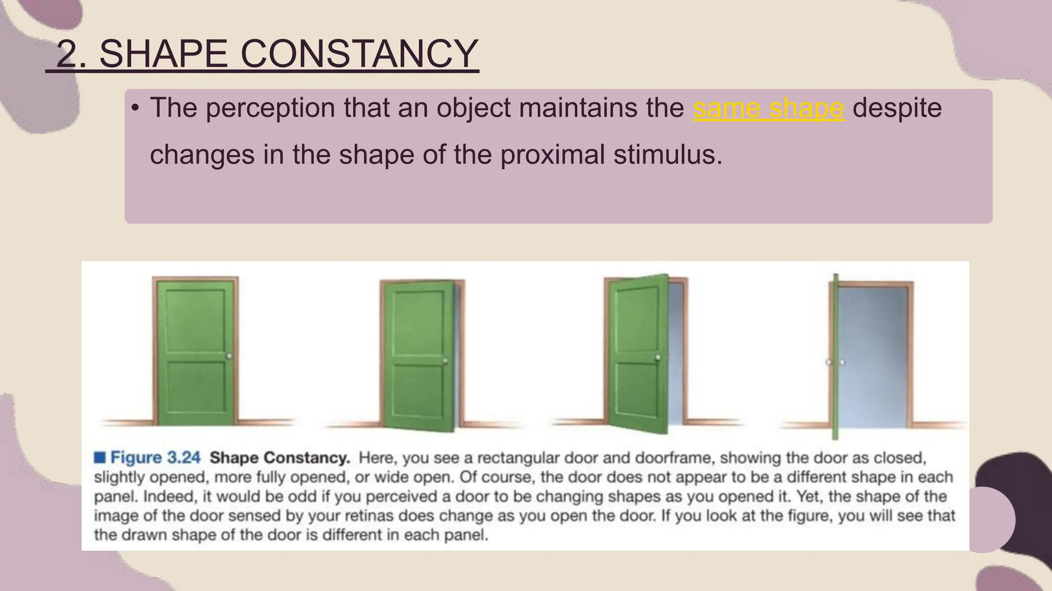 POWERPOINT PRESENTATION ON COGNITIVE PSYCHOLOGY ABOUT VISUAL PERCEPTION ...