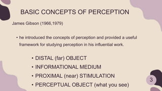 POWERPOINT PRESENTATION ON COGNITIVE PSYCHOLOGY ABOUT VISUAL PERCEPTION ...