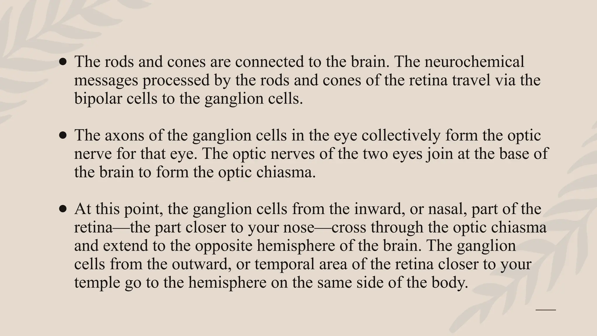 Understanding the Visual Perception : Human Eye | PPTX