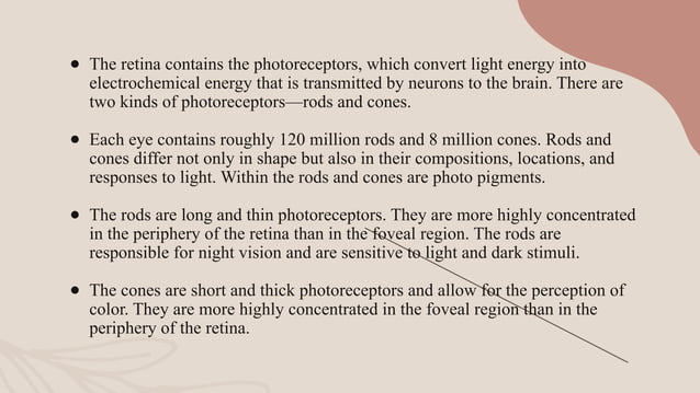 Understanding the Visual Perception : Human Eye | PPTX | Eye and Vision ...