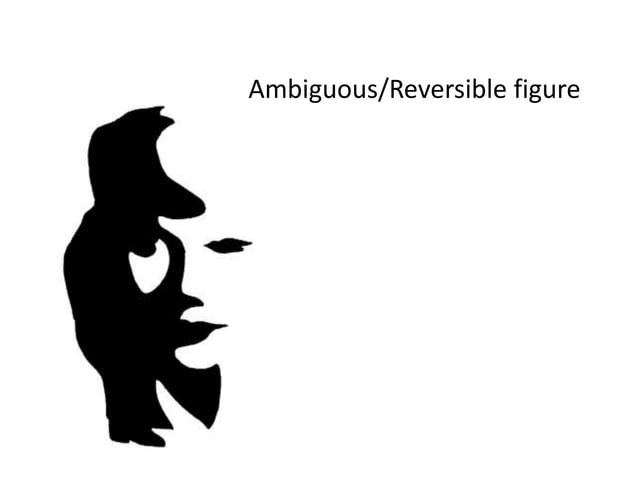 Psychology: Visual perception 3. By Janice Fung. | PPT
