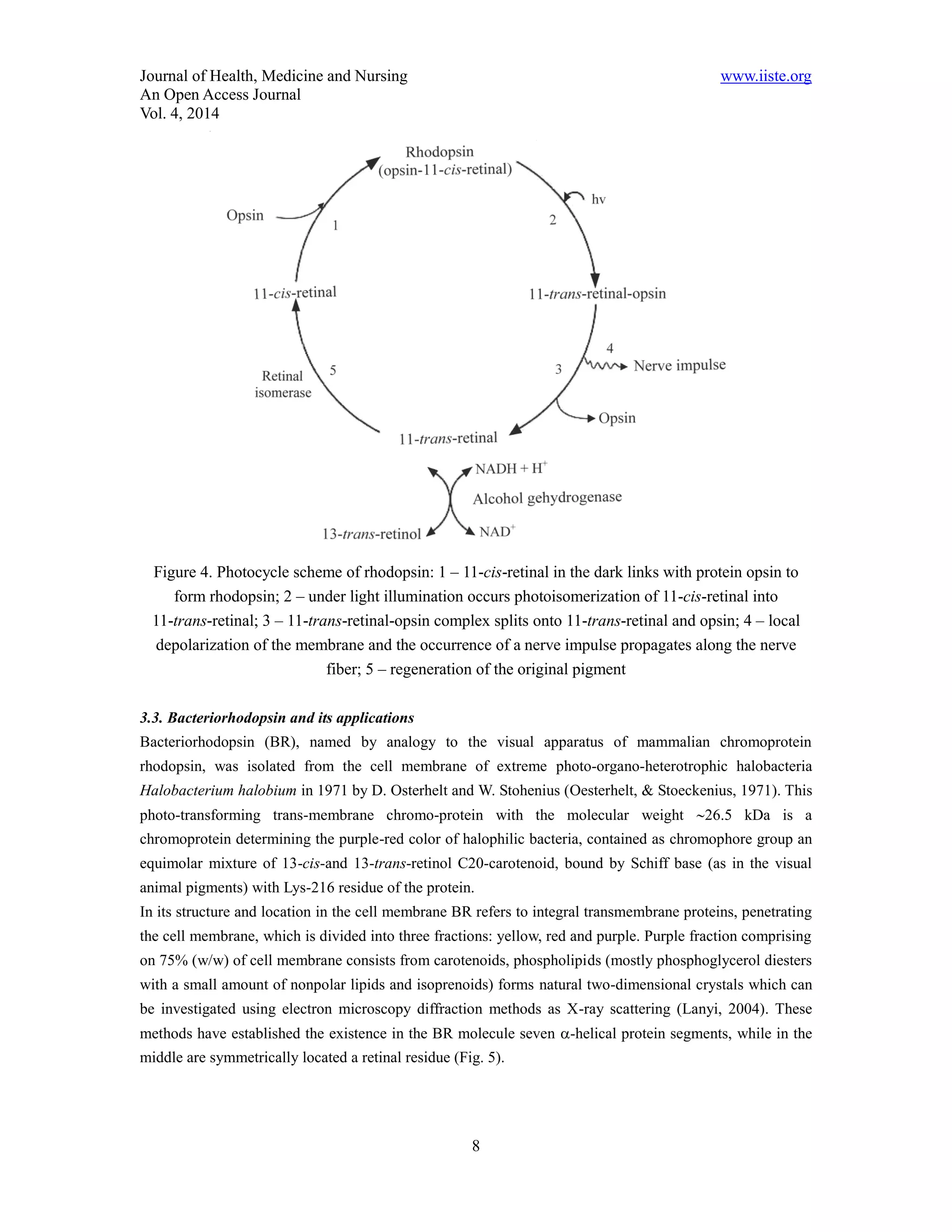 Visual perception and electromagnetic conception for the | PDF