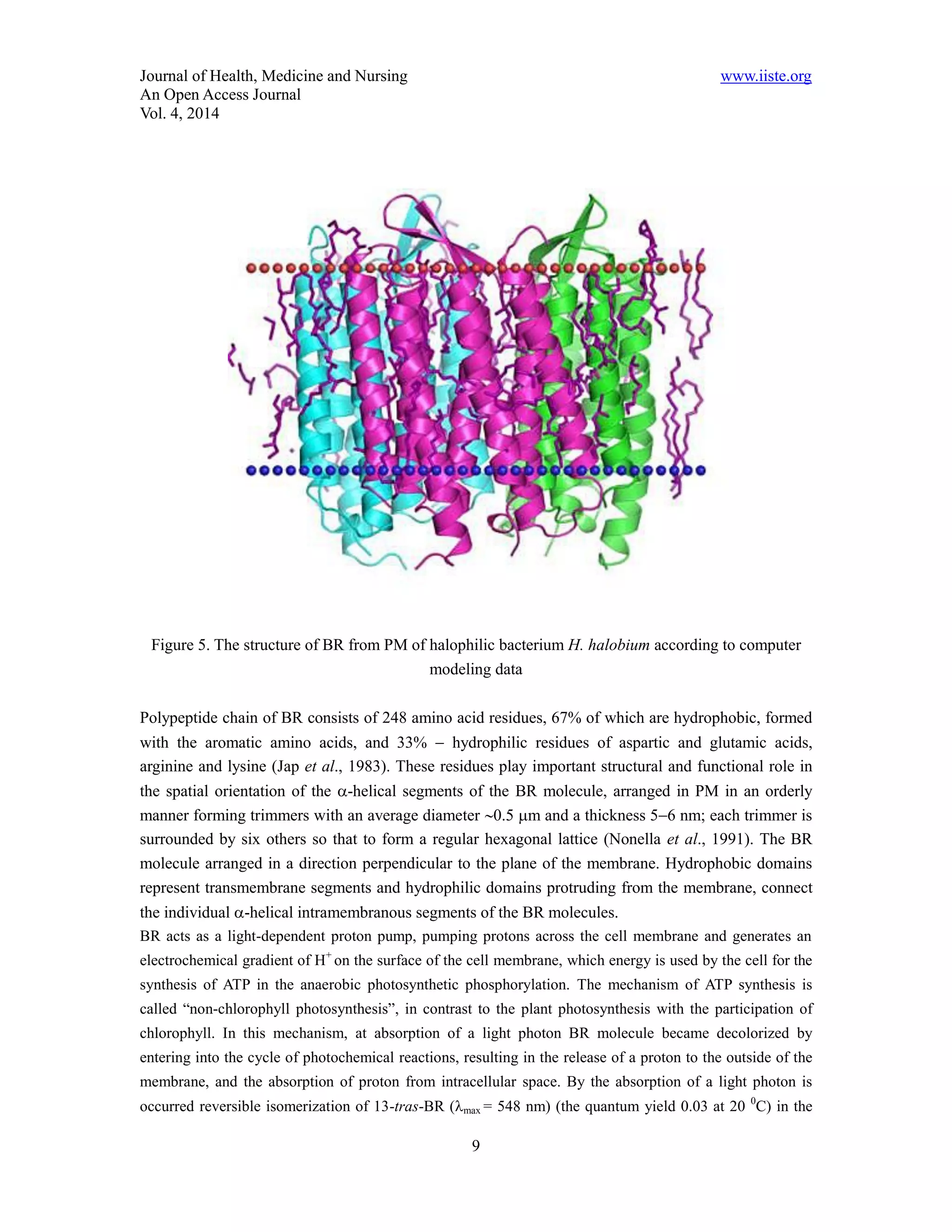 Visual perception and electromagnetic conception for the | PDF