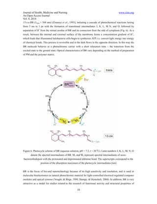 Visual perception and electromagnetic conception for the | PDF