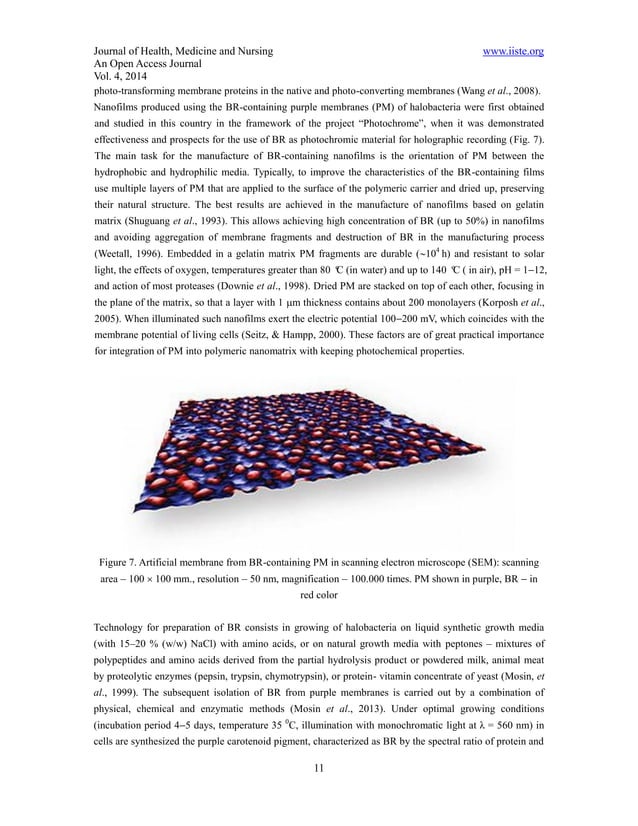 Visual perception and electromagnetic conception for the | PDF