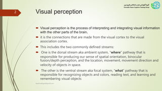 Visual perception and learning | PPT