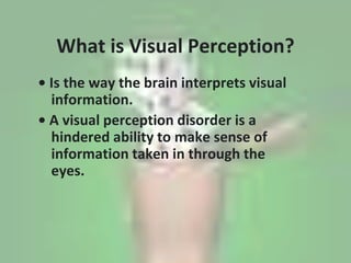 visual perception basic intro (2).pptx