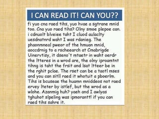 Visual Perception Basic Intro 2 Pptx
