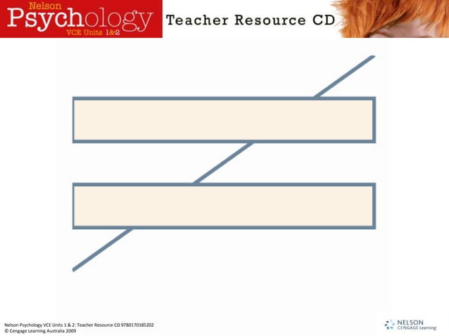 Visual perception images (organisation & interpretation) | PPTX
