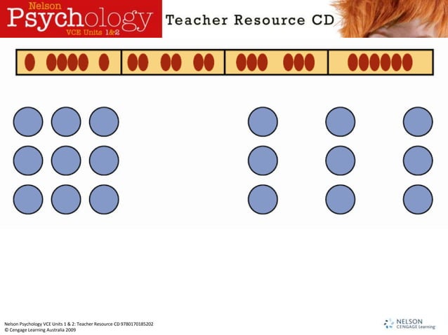 Visual perception images (organisation & interpretation) | PPTX