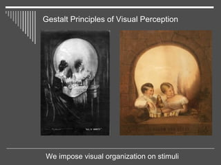 Visual Perception Lecture 2 | PPT