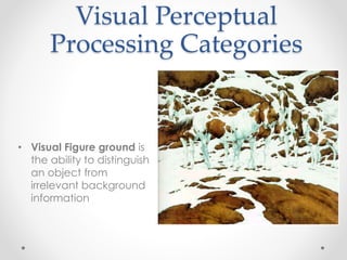 Arts Visual Perception Lecture 1 | PPTX