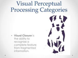 Arts Visual Perception Lecture 1 | PPTX