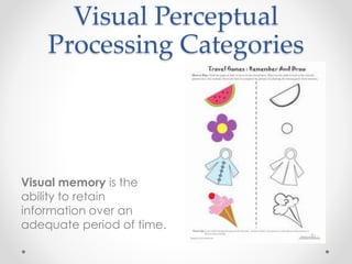 Visual Perception Examples