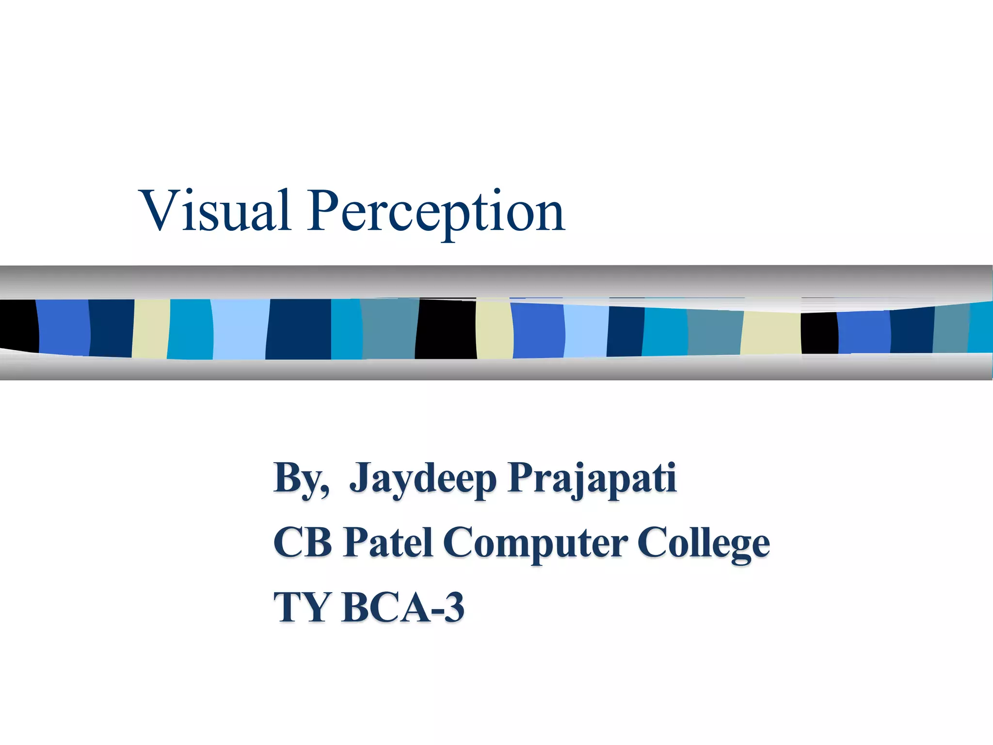 visual perception ppt2.pptx