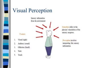 visual perception ppt2.pptx