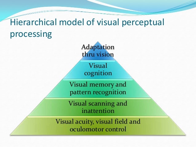 Visual Perceptual Visual Perceptual