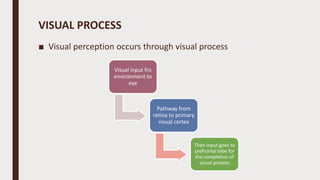 Visual perceptual motor deficit | PPTX | Eye and Vision Conditions ...