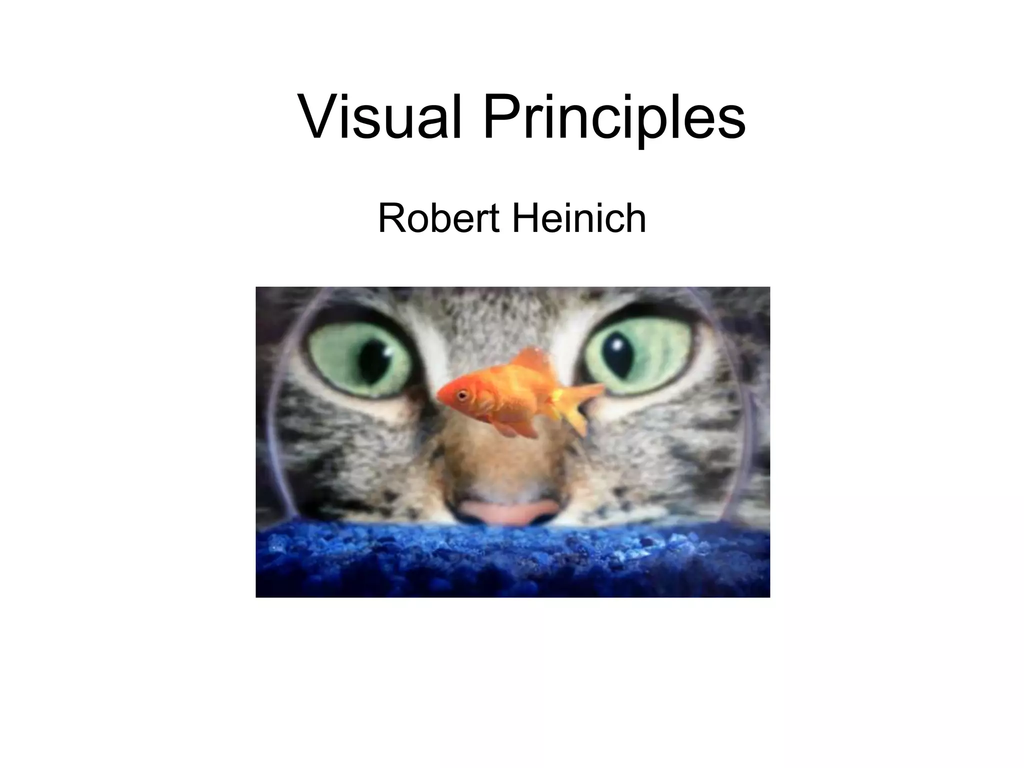 Visual Principles | PPTX