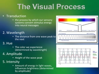 Visual process | PPT
