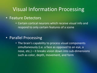 Visual process | PPT