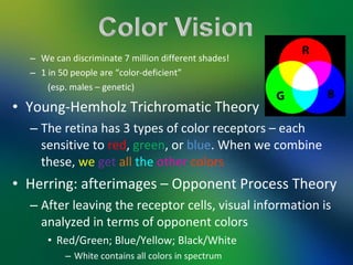 Visual process | PPT