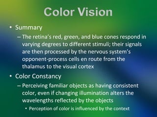 Visual process | PPT