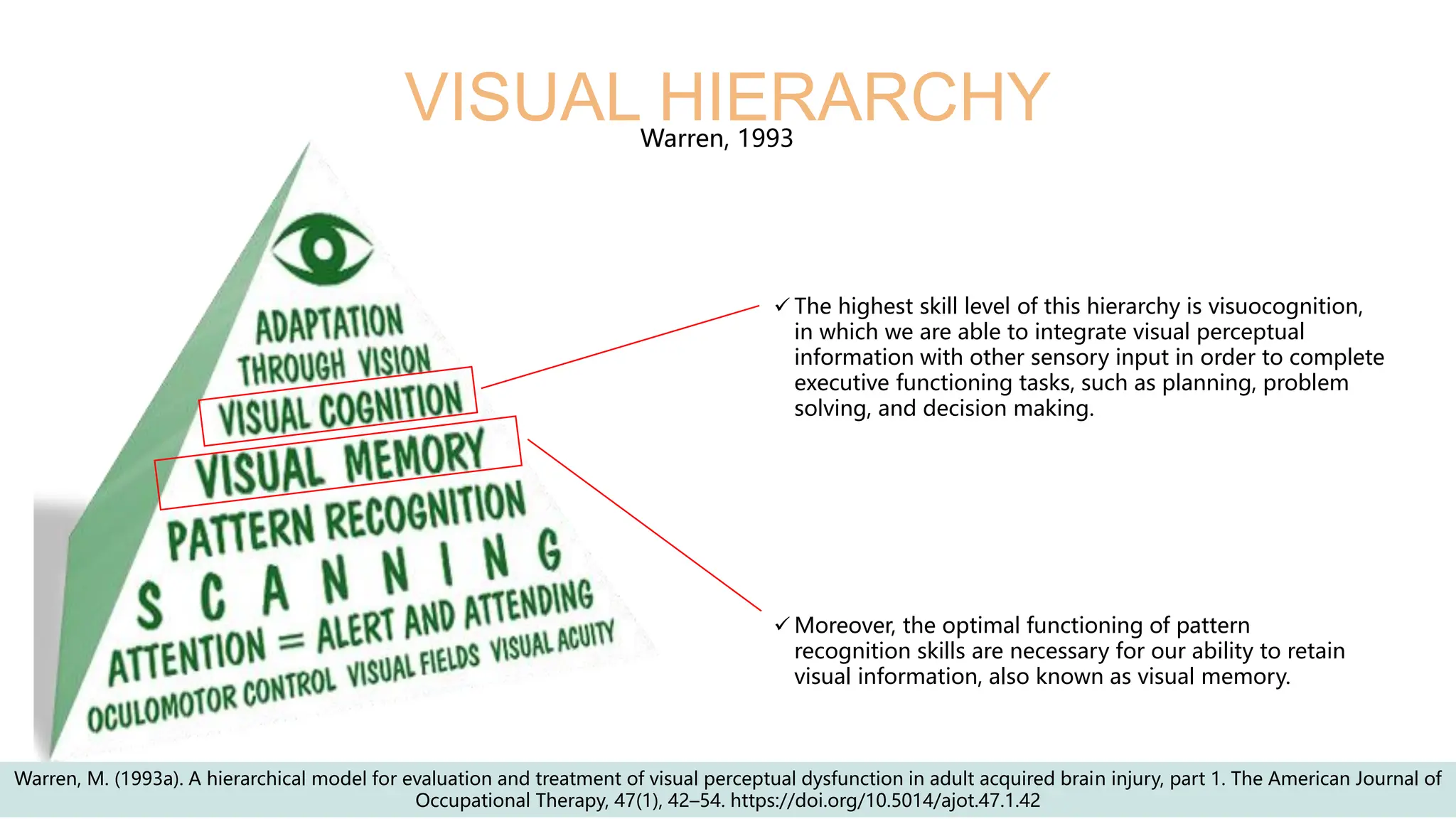 Visual Processing, Visual Perception & Visual-Motor Deficit.pdf