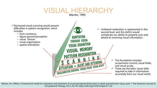 Visual Processing, Visual Perception & Visual-Motor Deficit.pdf