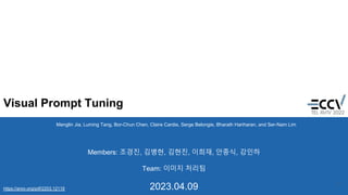 Visual prompt tuning | PPT