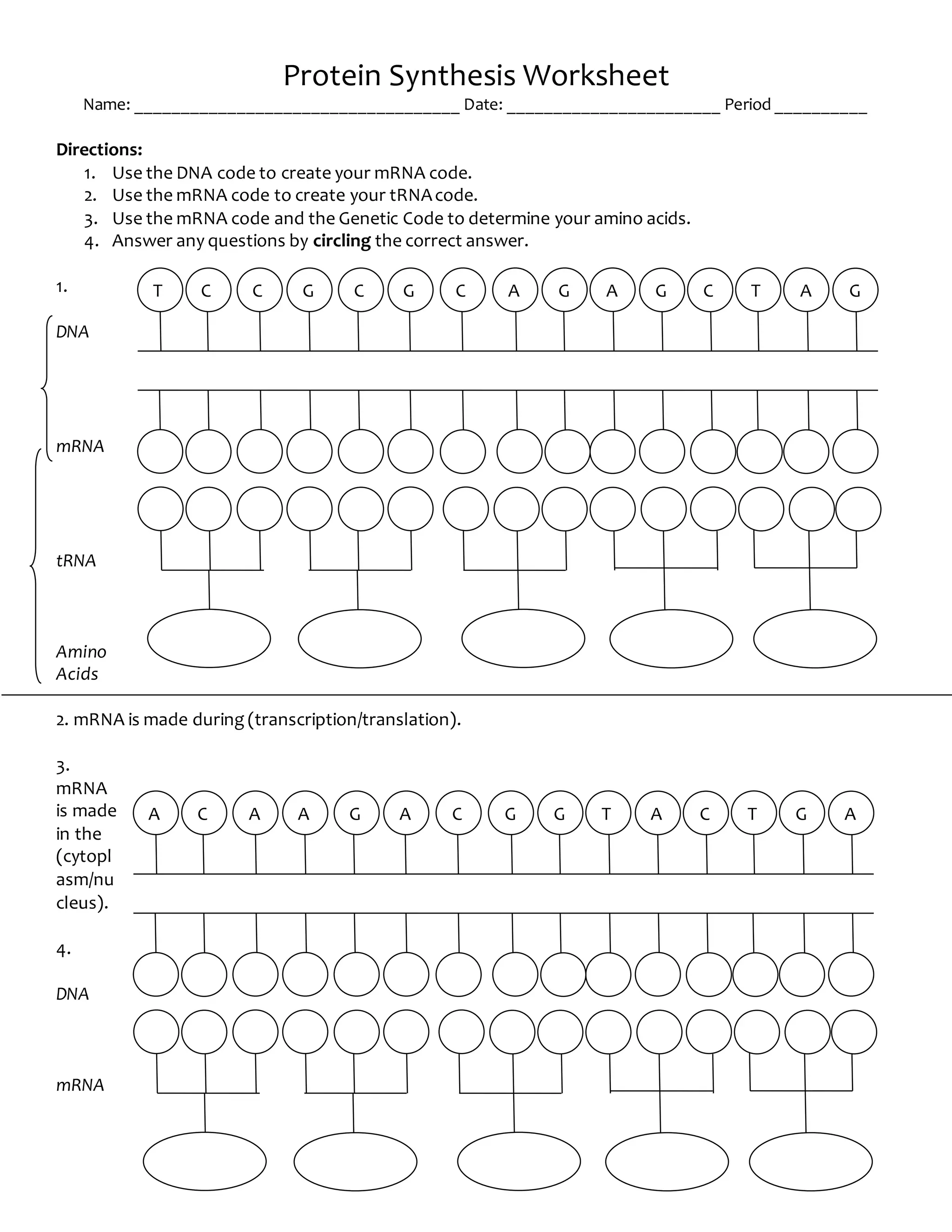 Visual Protein Synthesis Worksheet-GOOD (3).doc