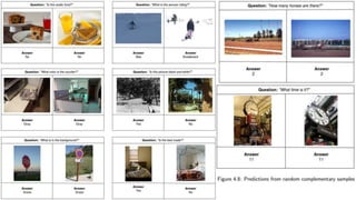 Visual Question Answering 2.0 | PPT